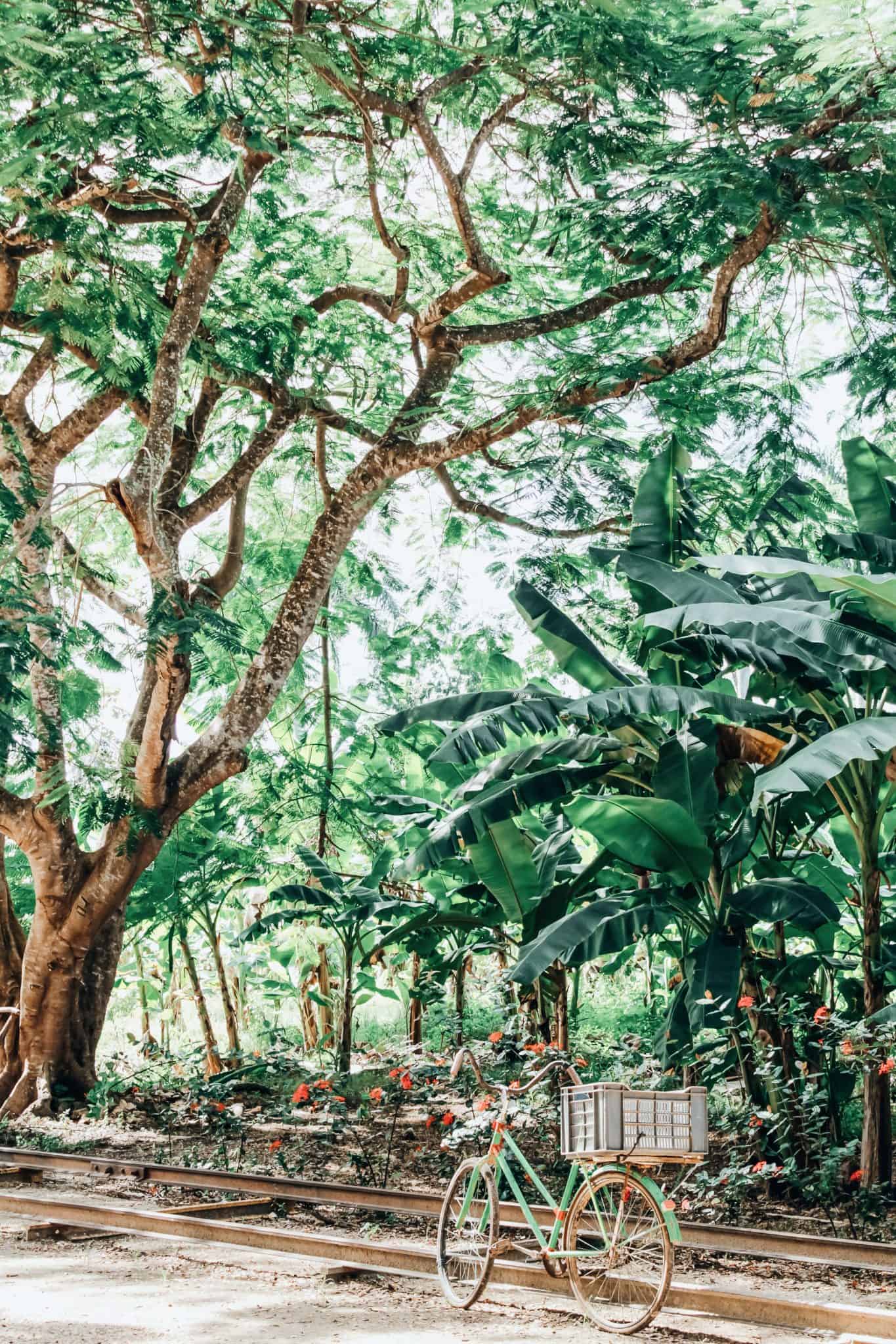 An Easy Guide to GForest