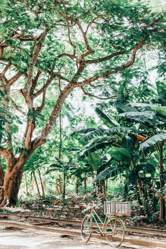 An Easy Guide to GForest